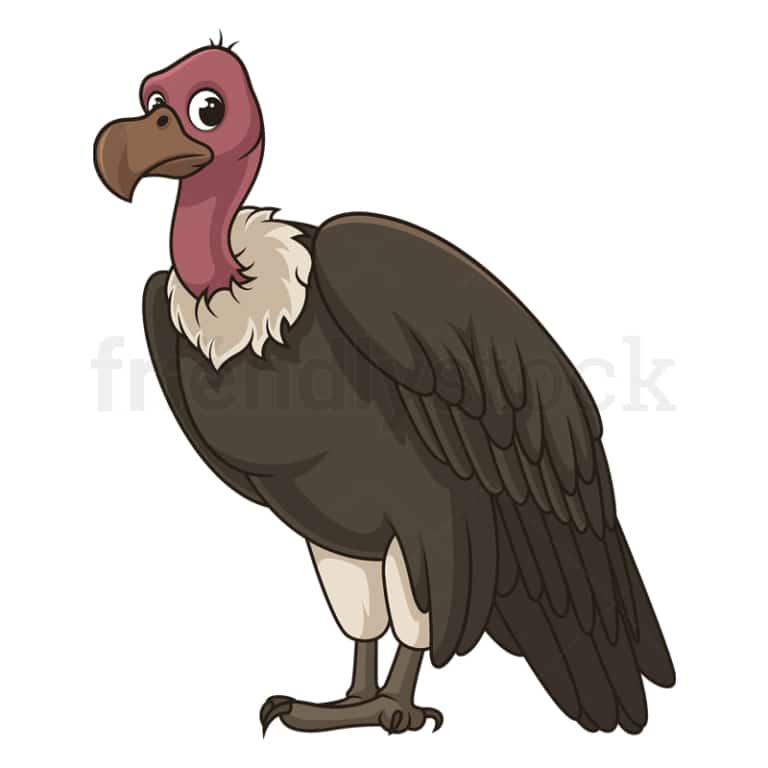 Cartoon Vulture Bird Cartoon Vector Clipart - FriendlyStock