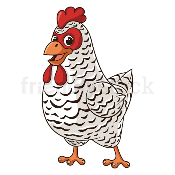 Cartoon Plymouth Rock Chicken Illustration Vector Clip Art - FriendlyStock