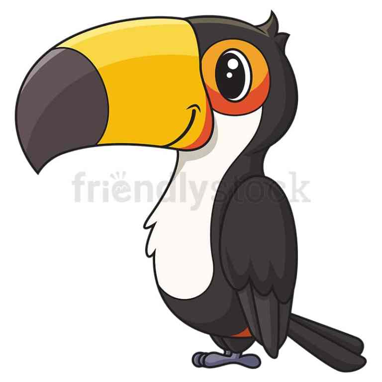 Smiling Toucan Bird Cartoon Clipart Vector - FriendlyStock